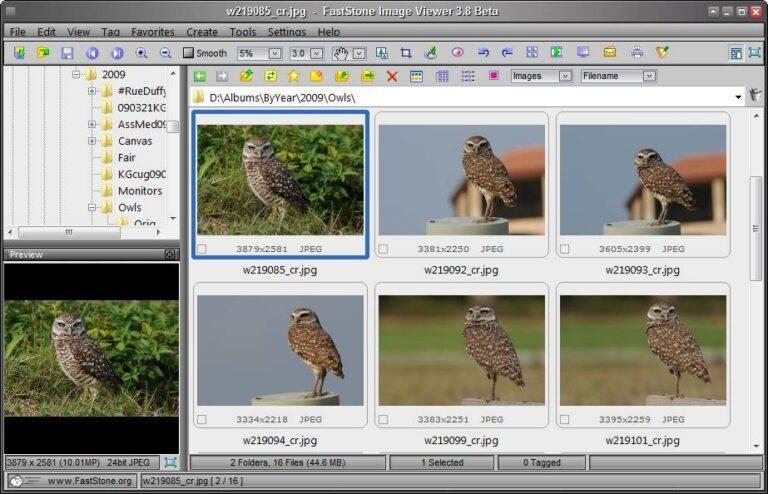 The 7 best photo organizing software programs | Canto